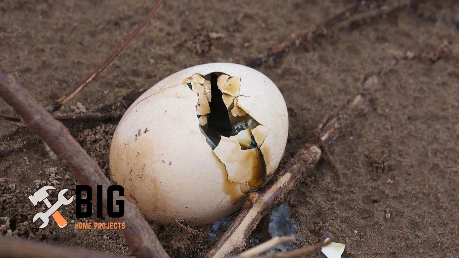 Rotten Egg Smell In The Plumbing 7 Tips From Professionals Big Home